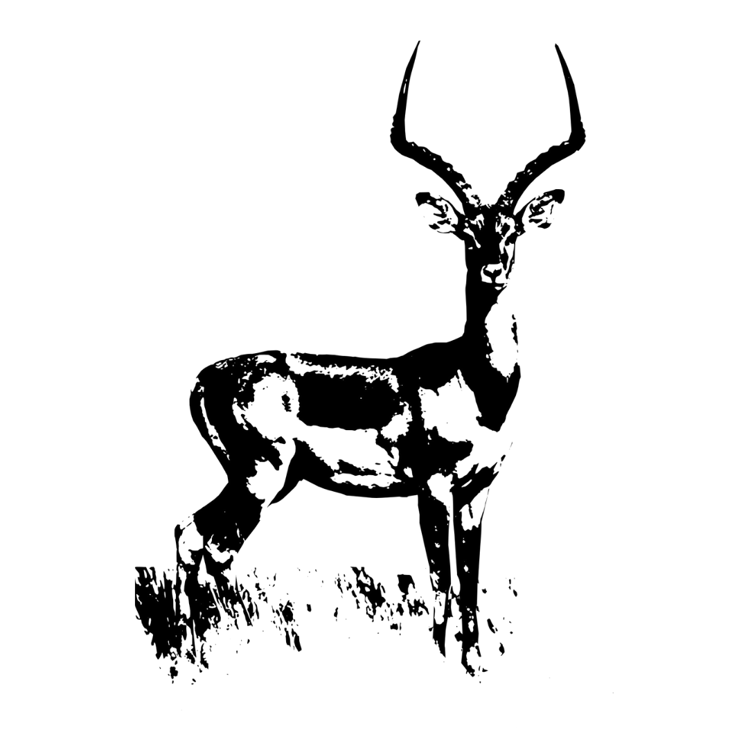 ROOIBOK – PureDier