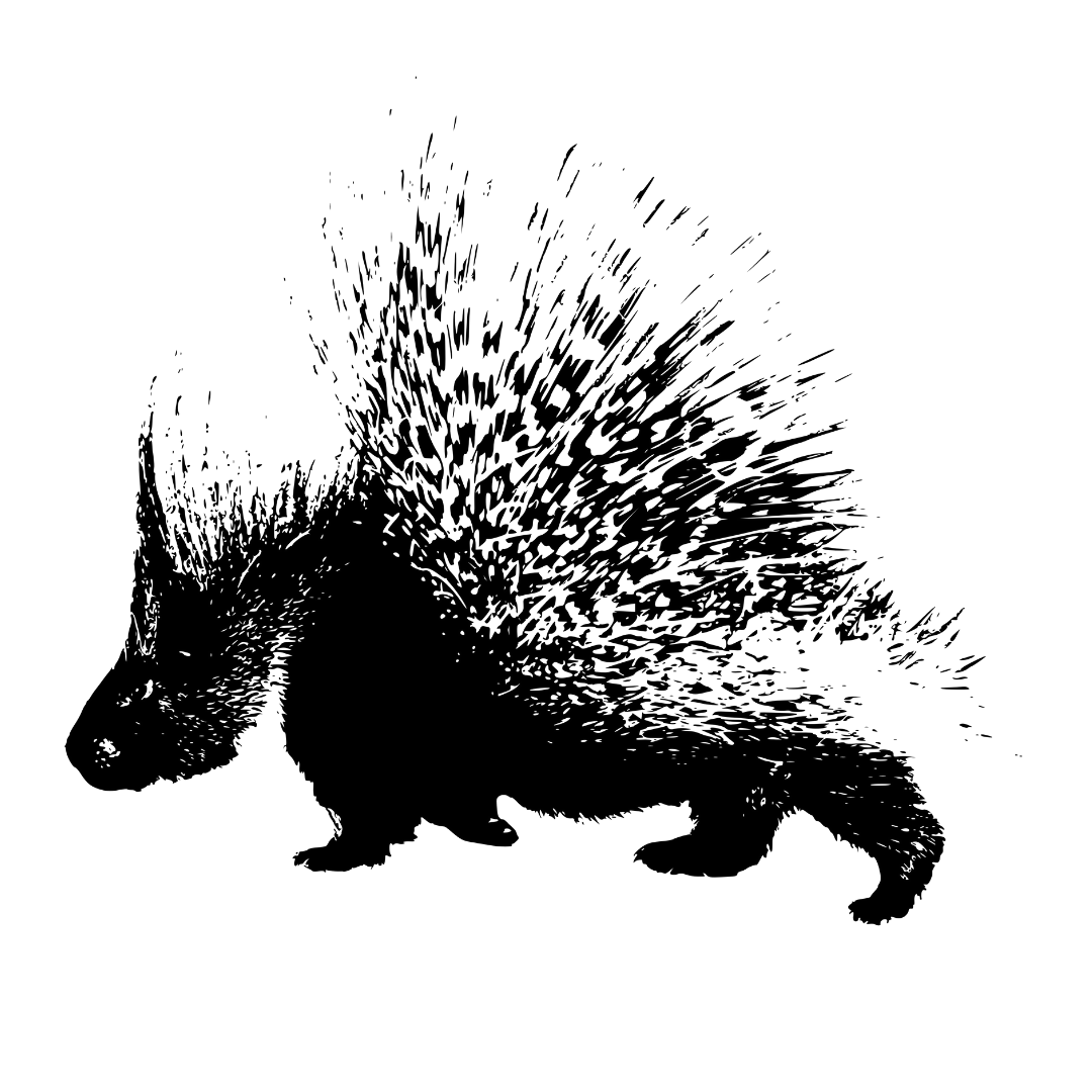 Ystervark – PureDier