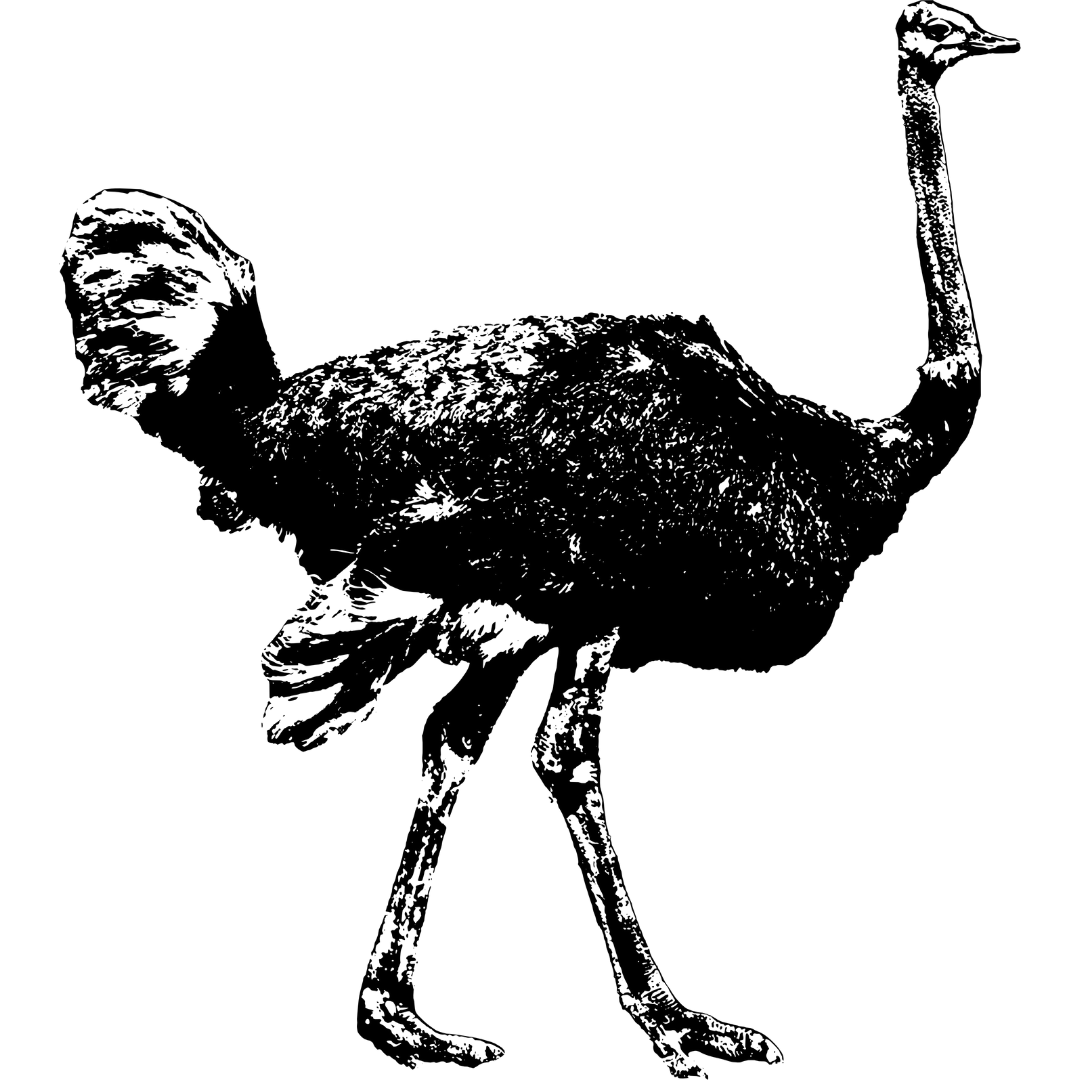 VOLSTRUIS – PureDier