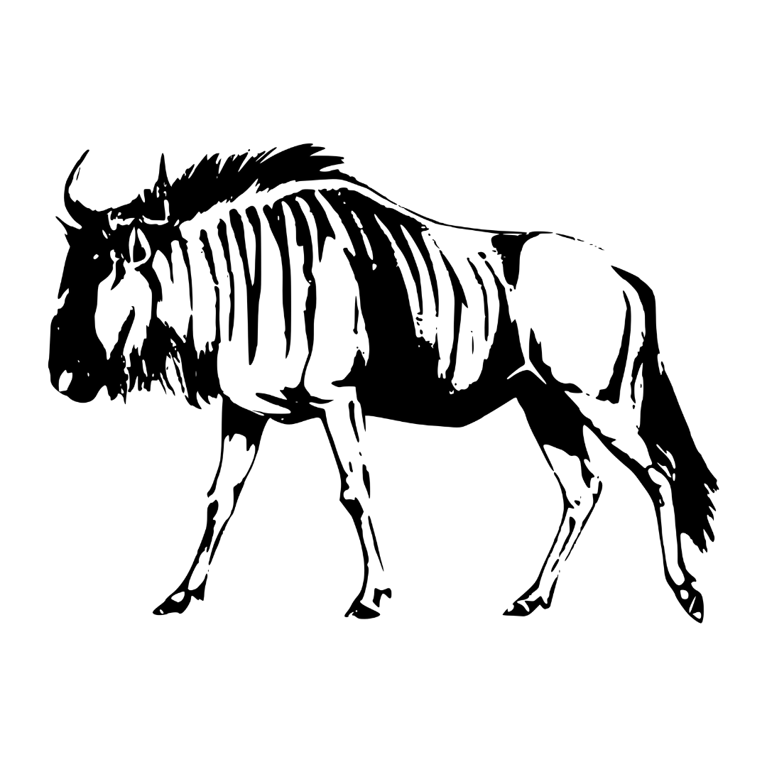 Blouwildebees – PureDier